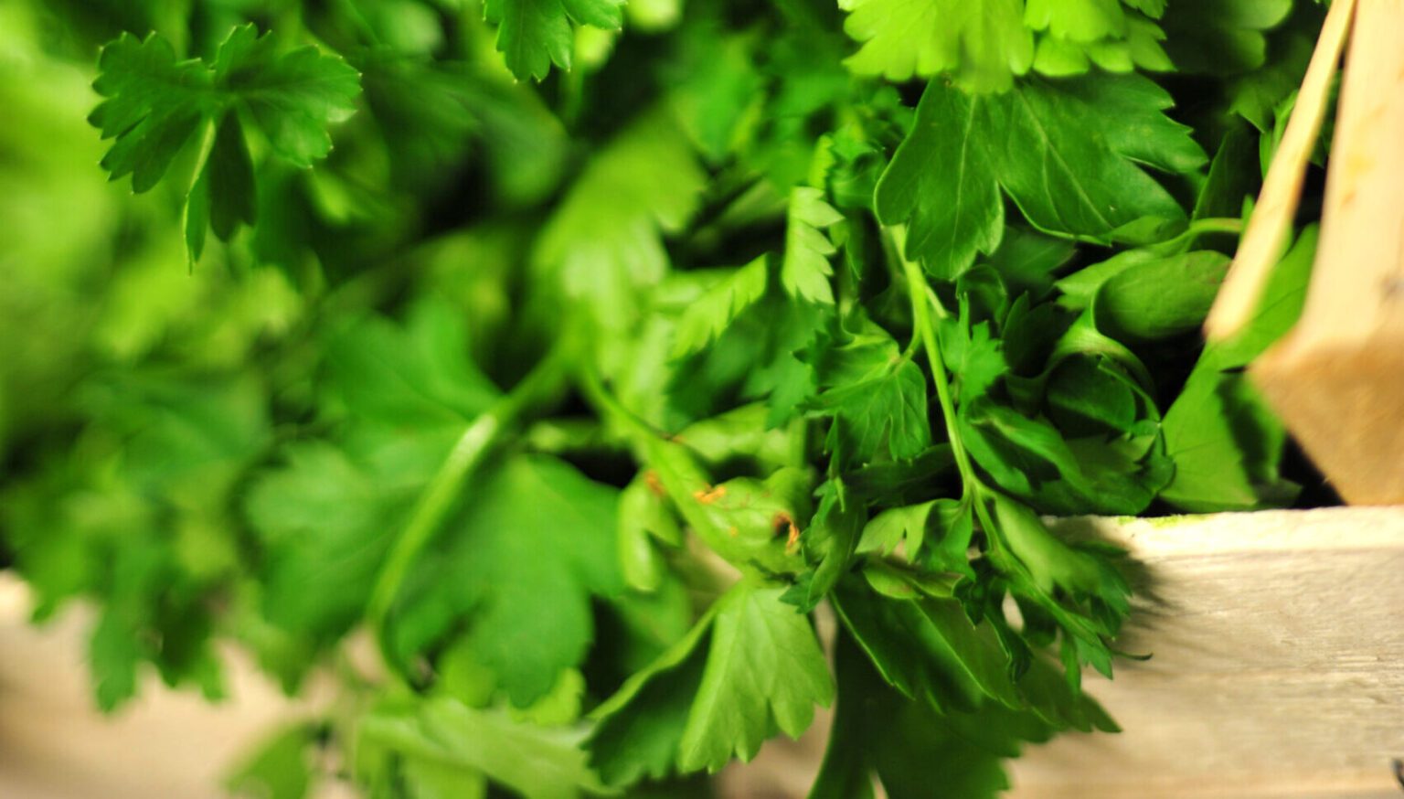 Le groupe SAPAM | SAPAM