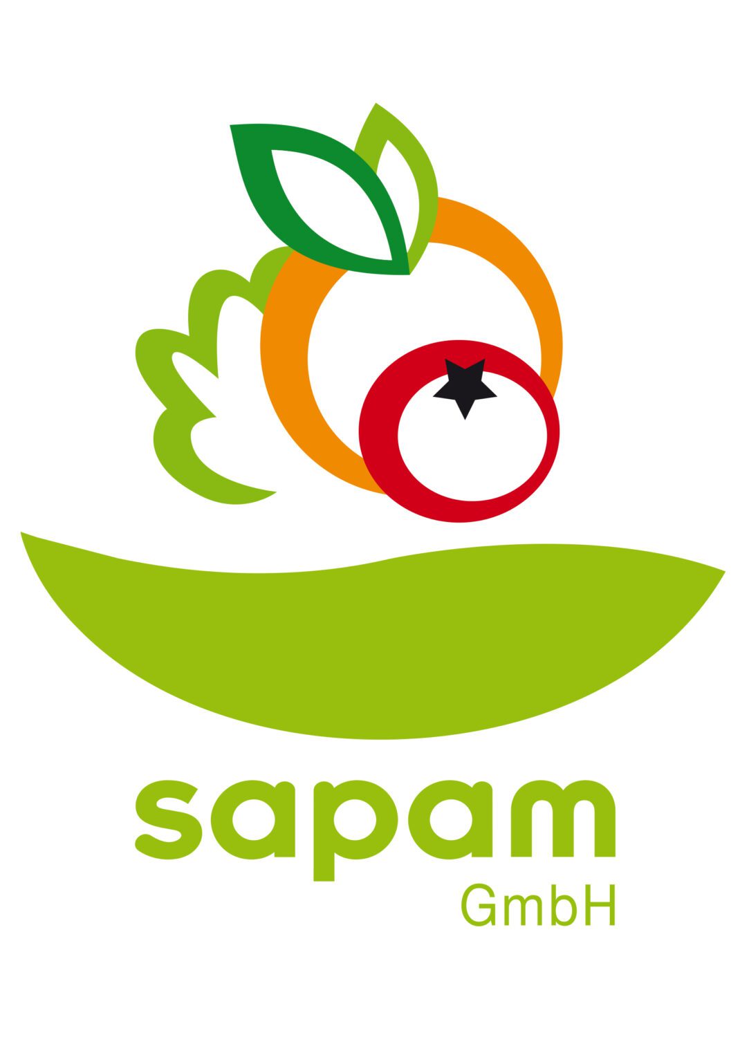 Le groupe SAPAM | SAPAM